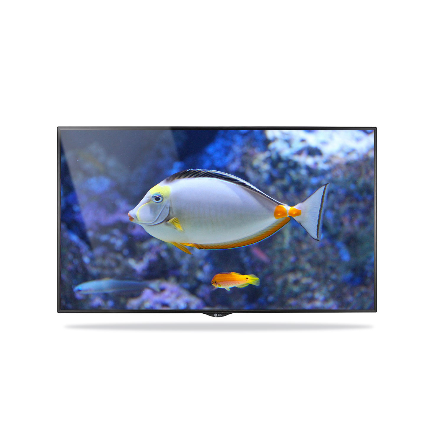 Digital Signage Monitor | Visionbox Store